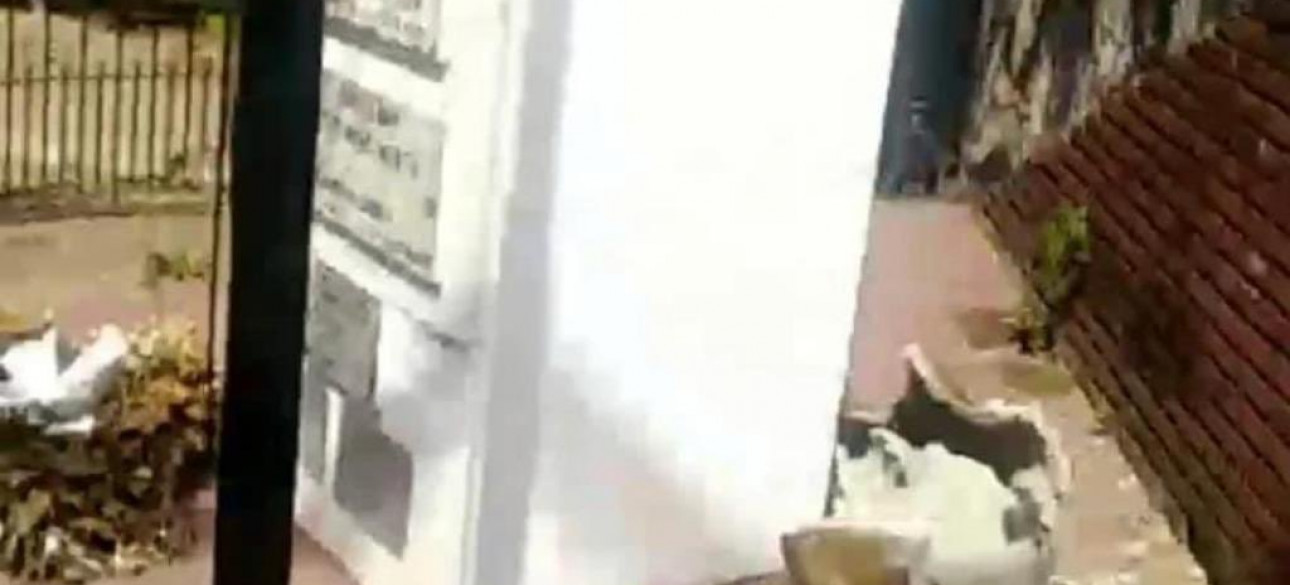 Lanús Hoy - PJ Lanús repudió vandalismo contra busto de Perón en Caraza ... Lanús Hoy - PJ Lanús repudió vandalismo contra busto de Perón en Caraza ...